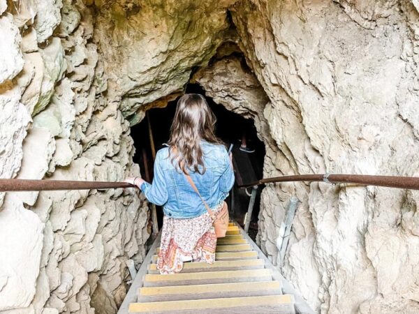 My ‘Discover Wanneroo’ Tour - Discover Wanneroo