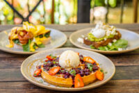 Home - Discover Wanneroo